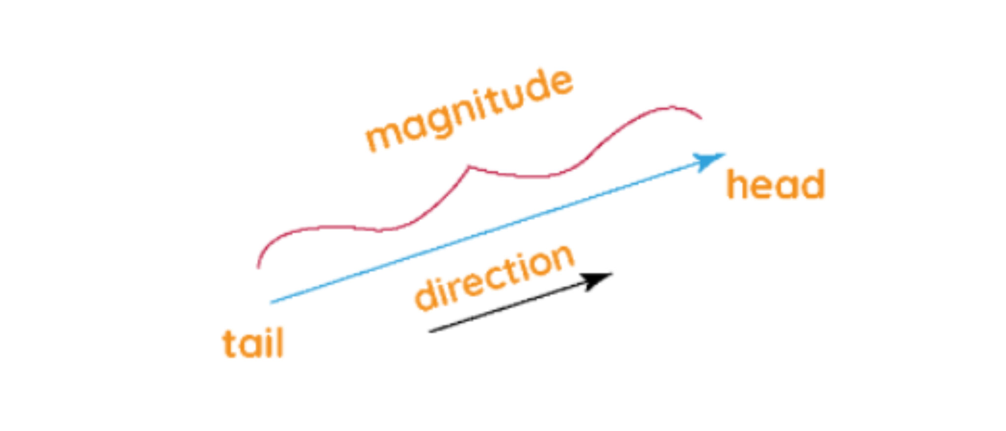 Vectors in the World of Mathematics: Everyone Should Know about