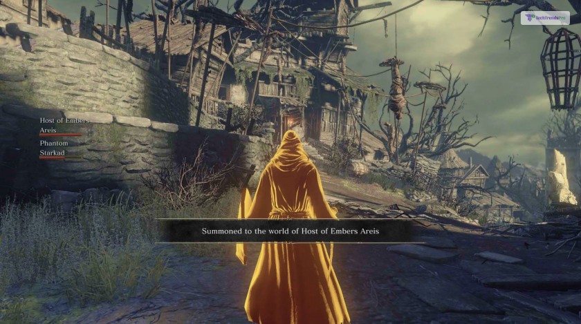 Unable To Summon Cooperator Elden Ring Here’s How You Can Fix