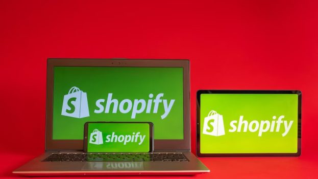 Shopify Theme Customization: How Pluro Can Help You Transform Your ...
