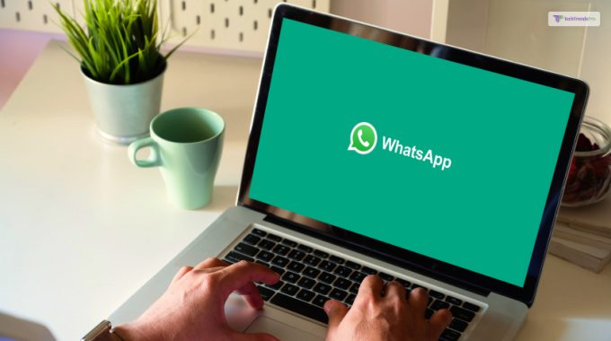 WhatsApp Web 101: Everything You Need To Know About This In 2023!