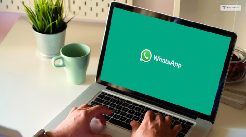 WhatsApp Web 101: Everything You Need To Know About This In 2023!